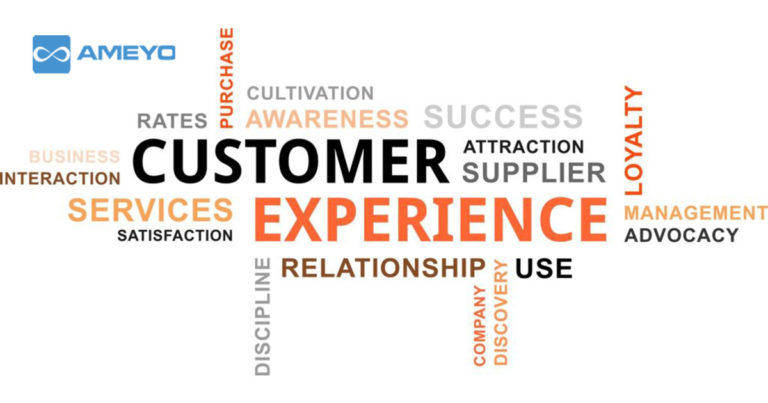 Understanding the What and How of Customer Experience [Infographic] - Ameyo